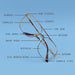 Parts of an Eyeglass Frame [Glasses Diagram] | Readers.com®